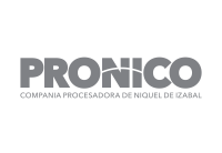Pronico – Konsom group